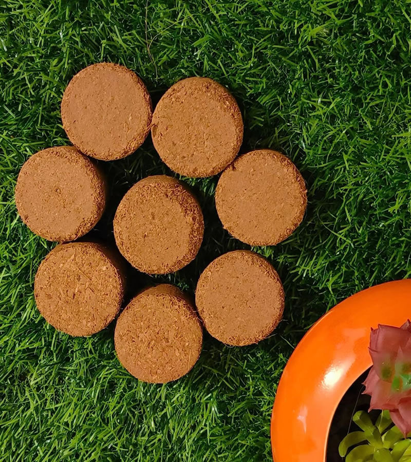 Coco Peat Coir|Coins| Browse Our Collection