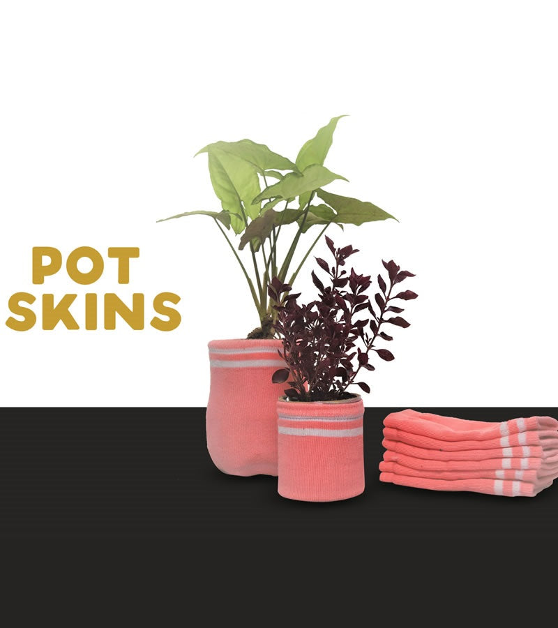 Pot Skin Pink