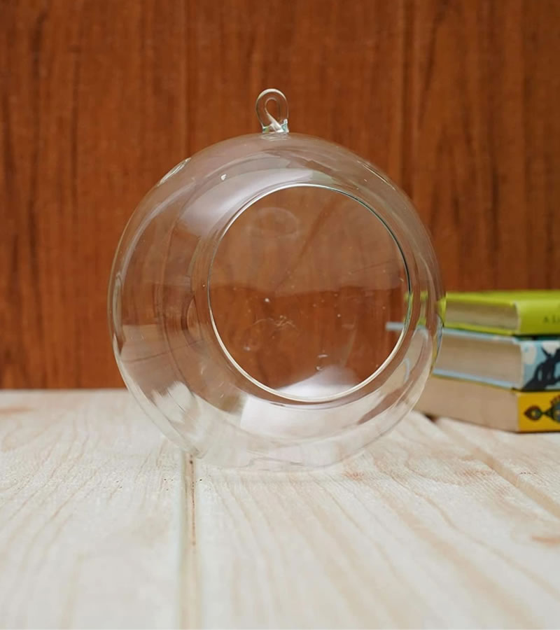 Round Terrarium For Plants| Browse Our Collection